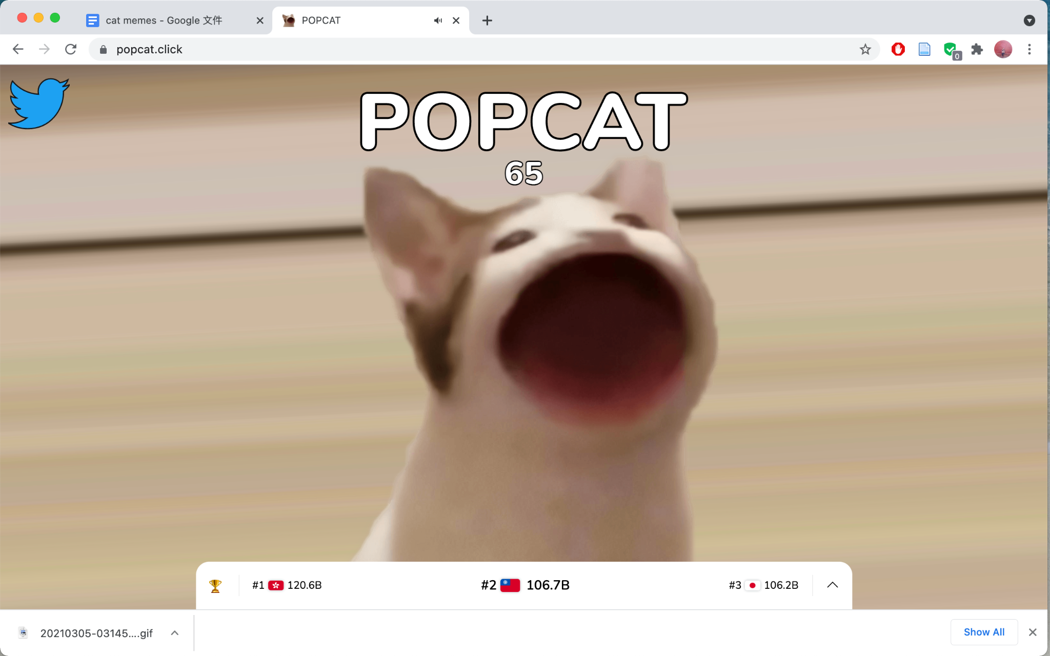 貓迷因：宅宇宙的LOLcat文化 | guavanthropology.tw 芭樂人類學